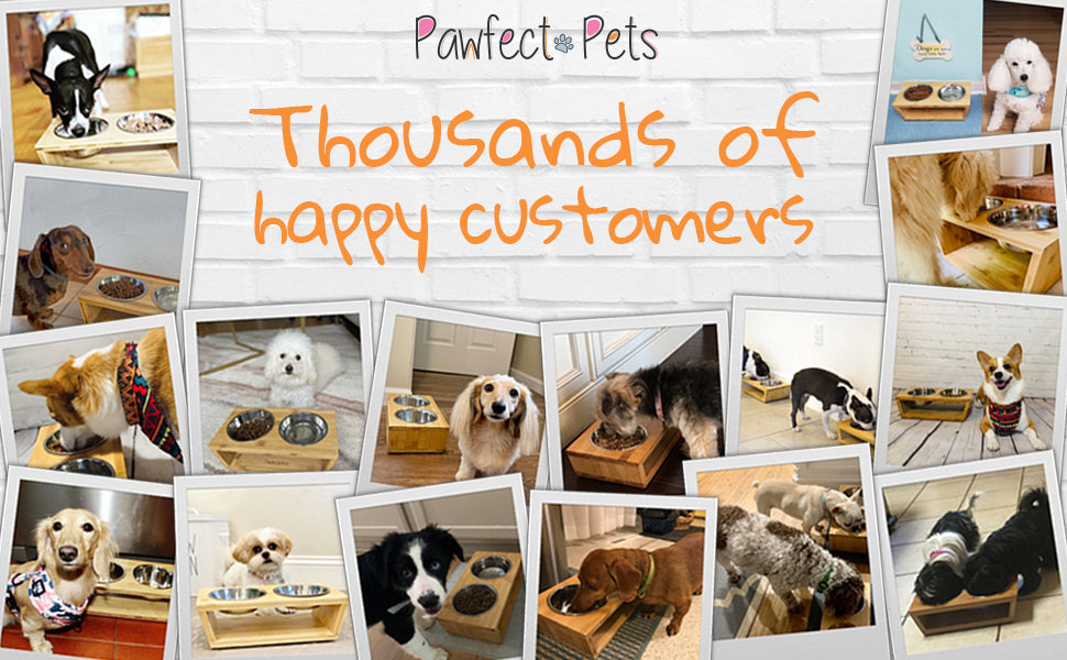 Pawfect Pets- Products to improve both you and your pet's lives